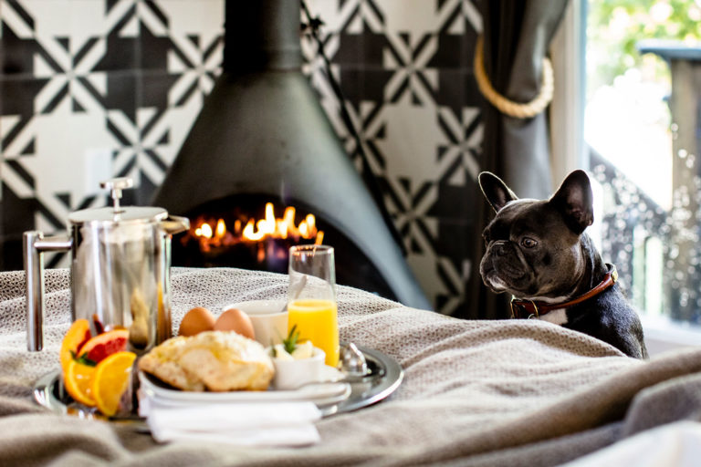 boon hotel + spa - a modern boutique hotel in russian river valley ...